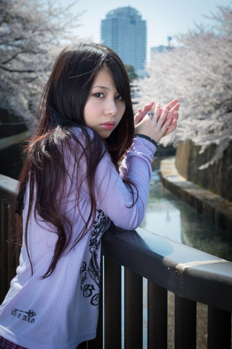 SAKURA Sync 2012 Vol,2 | GANREF