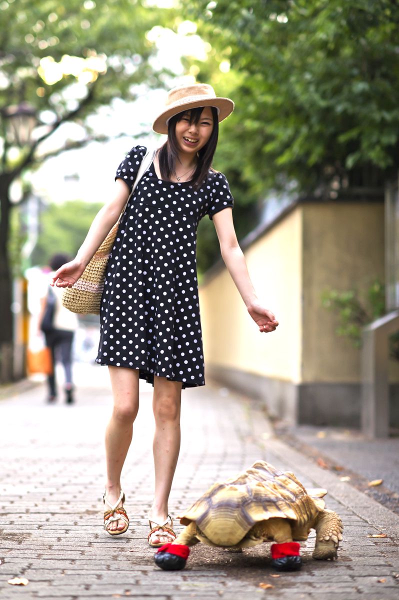 a chance encounter | GANREF