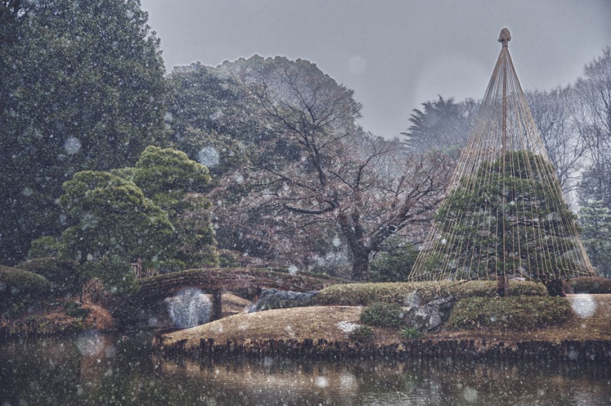 Day of snow | GANREF