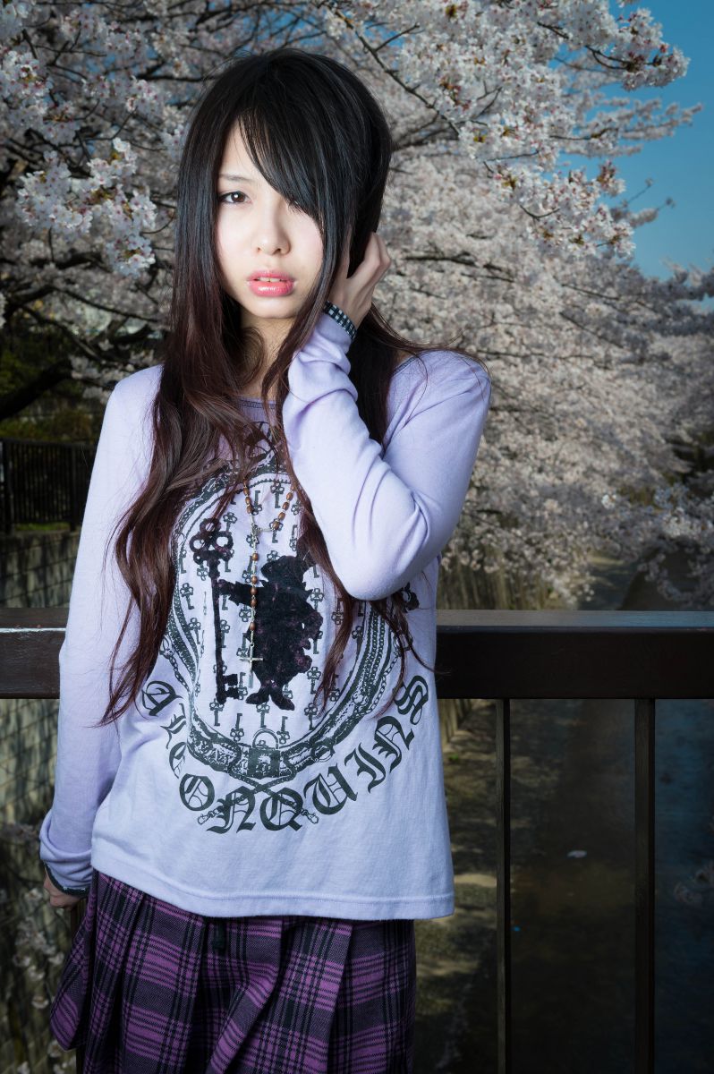 SAKURA Sync 2012 | GANREF