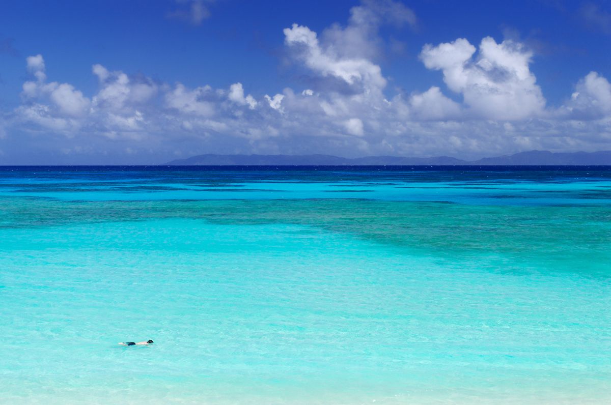 Beautiful Blue | GANREF