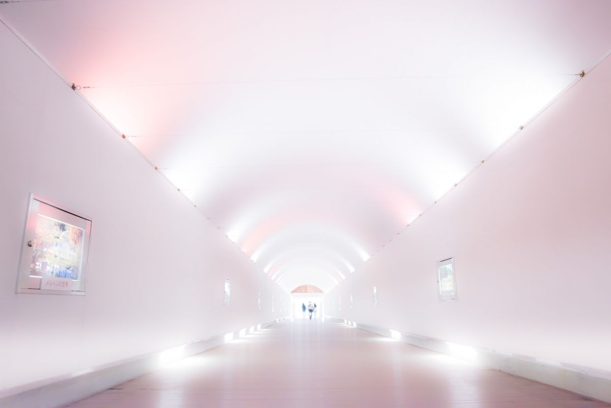 希望〜White Corridor | GANREF