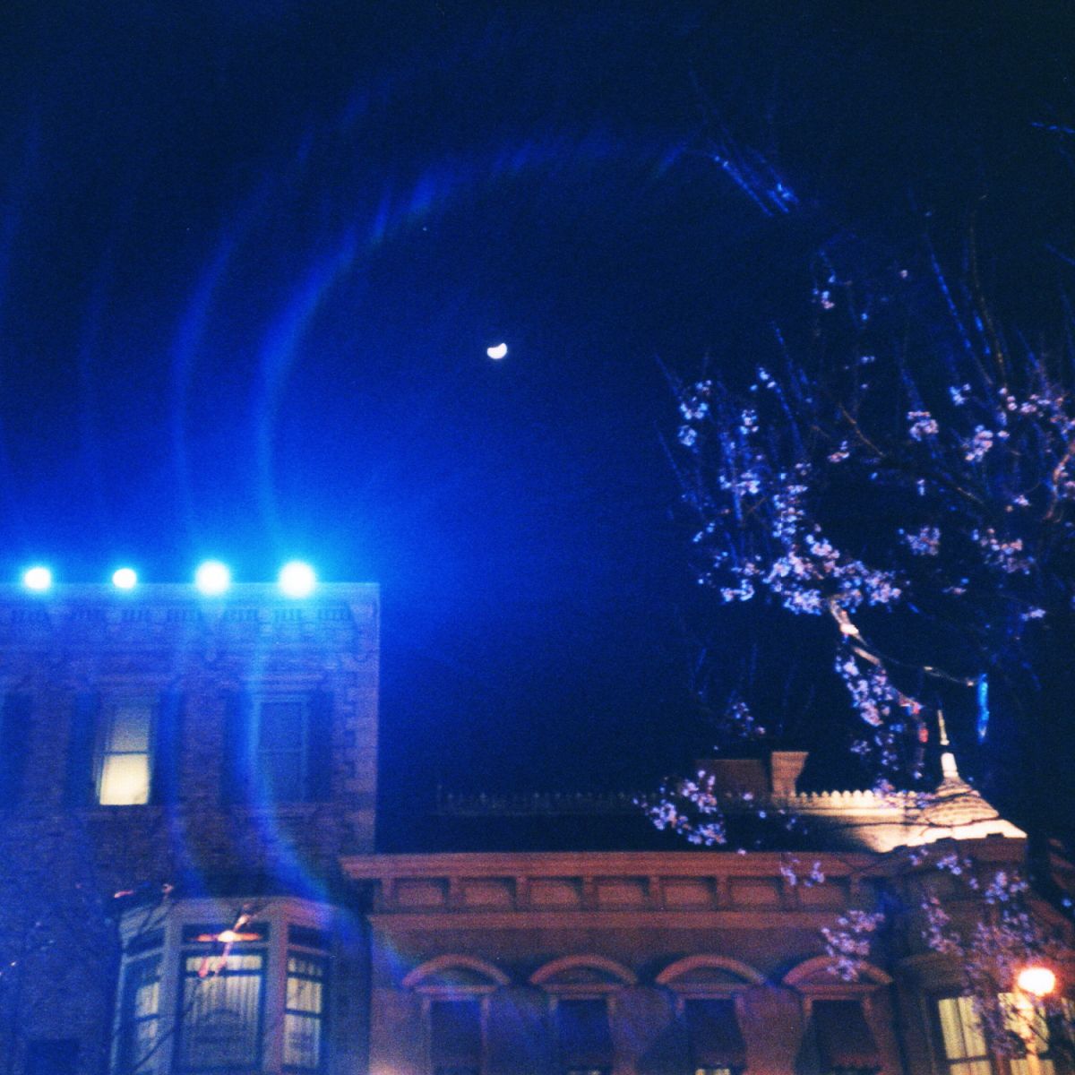 Over the moon. | GANREF