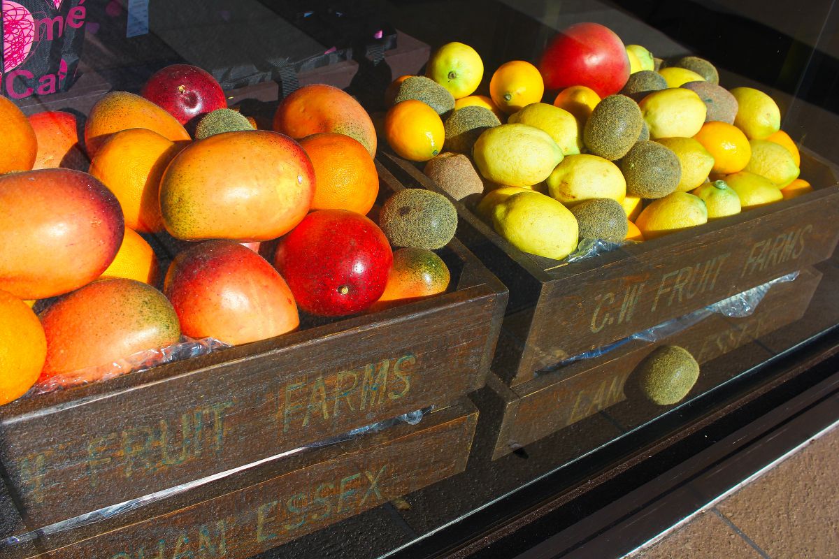 Fruity flavor. | GANREF