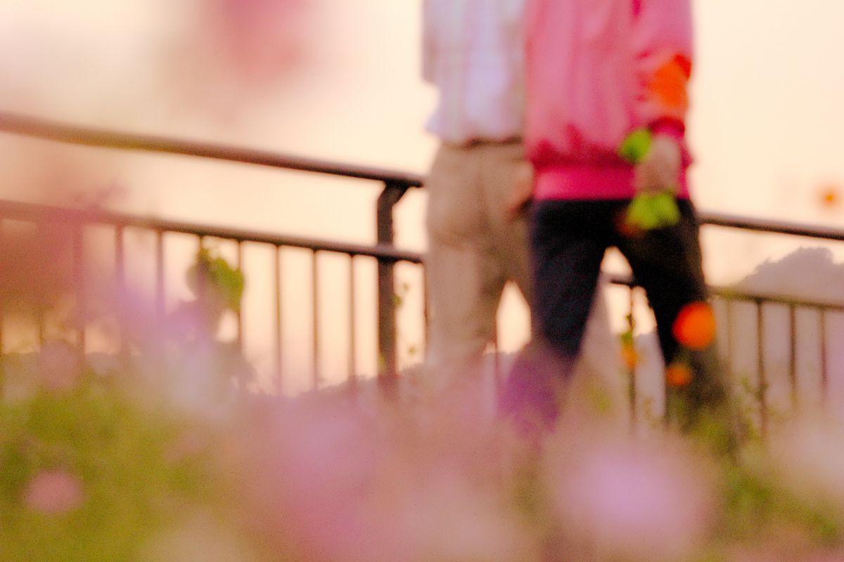 Sunset pink. | GANREF