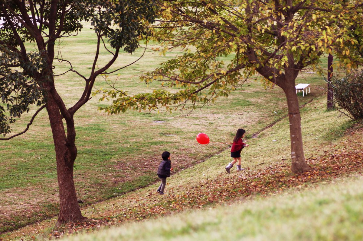 Run run run.｡.:*☆ | GANREF