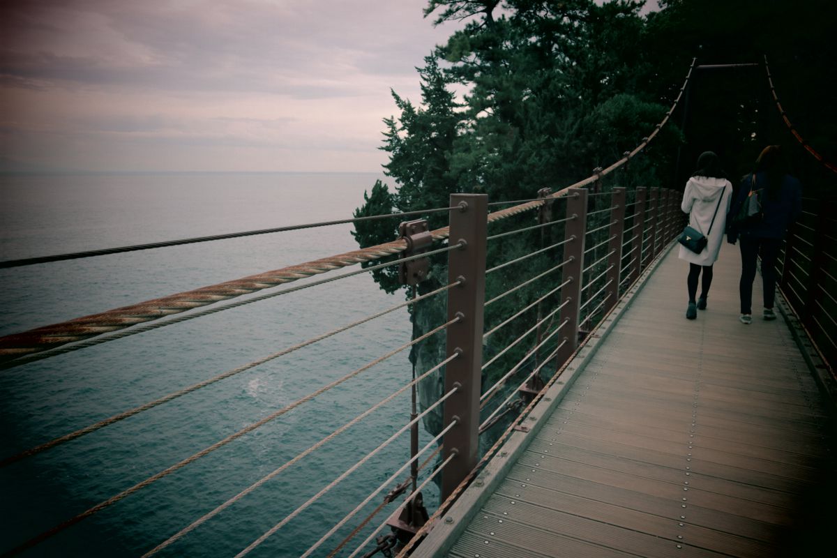 a suspenseful bridge＋＋ | GANREF