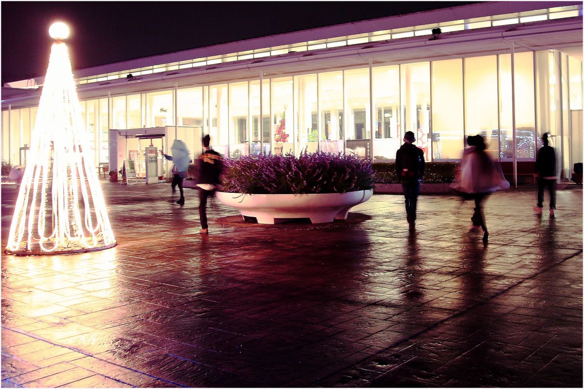 Sentimental Backs. | GANREF