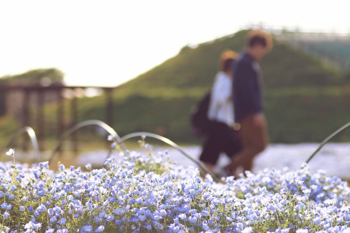 After rain. | GANREF