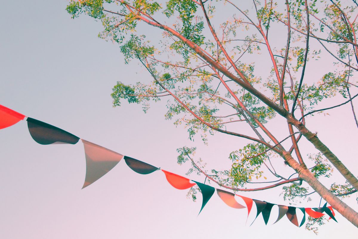 A flag with a calm color. | GANREF