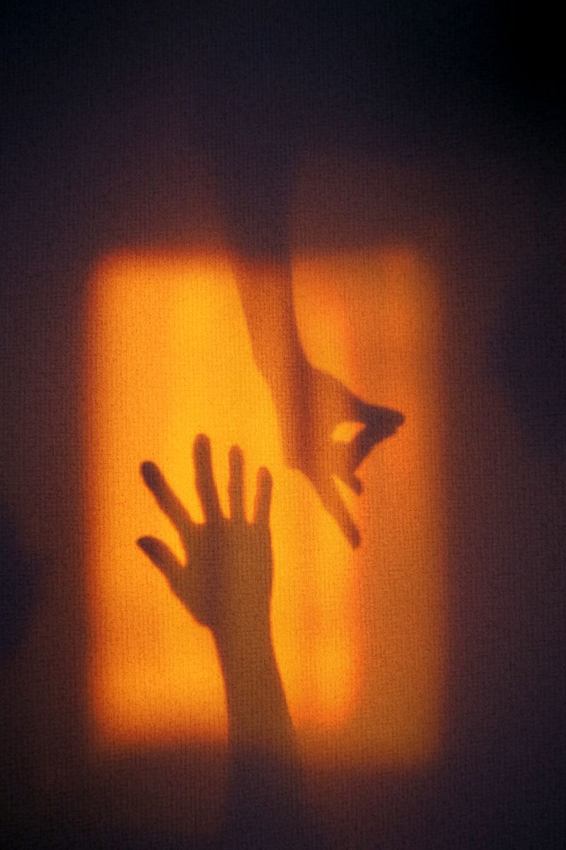 Shadow play | GANREF