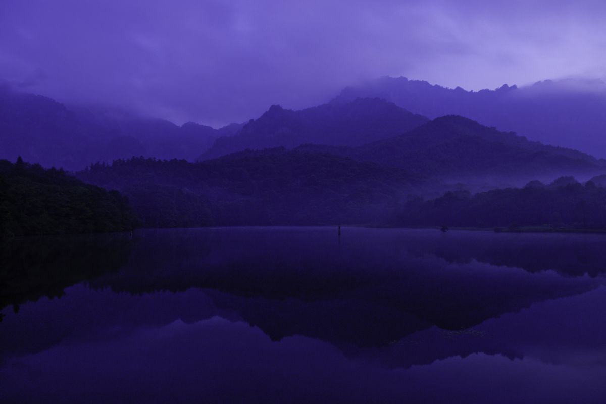 ブルーモーメント | GANREF