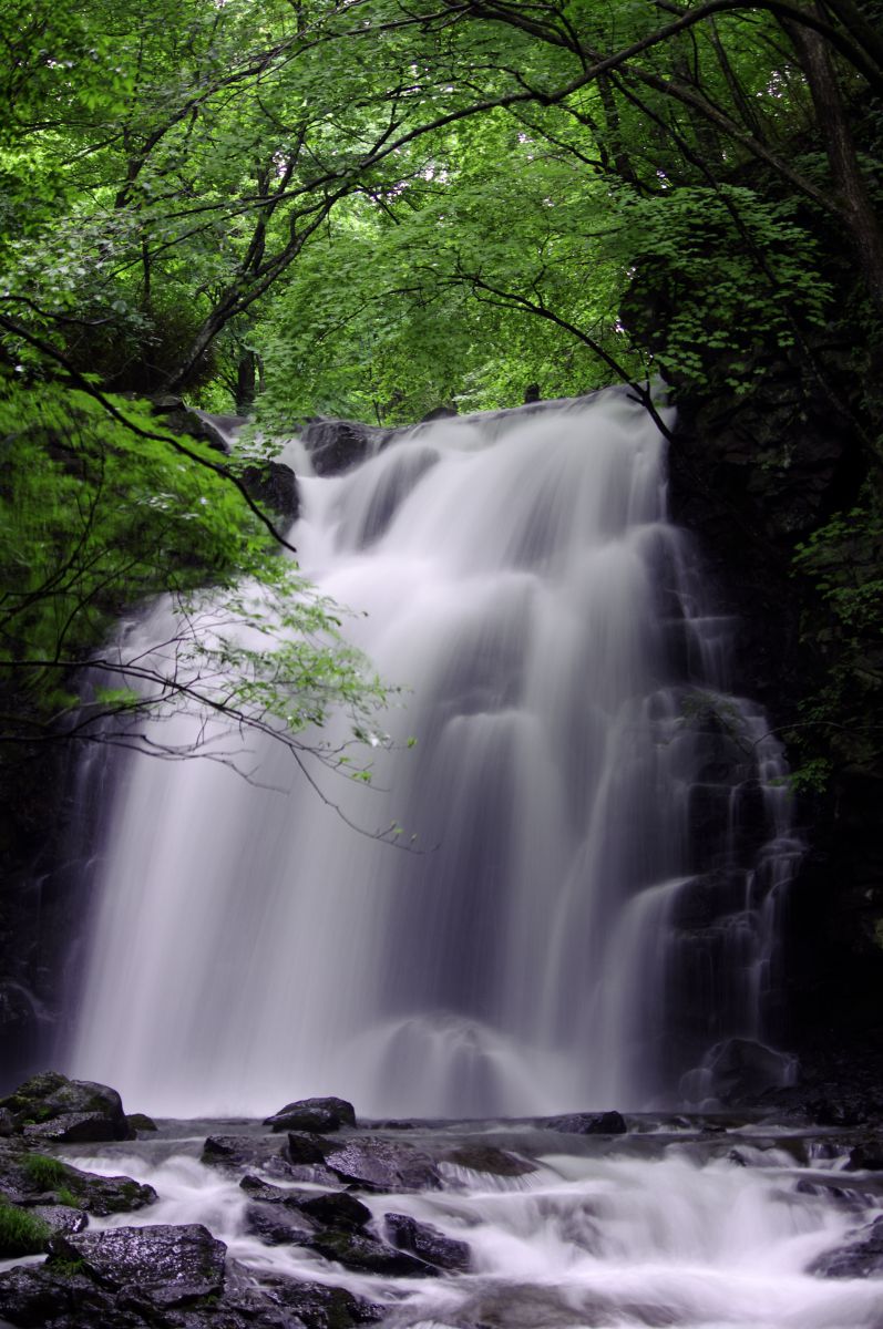 小雨の中の清涼感 | GANREF