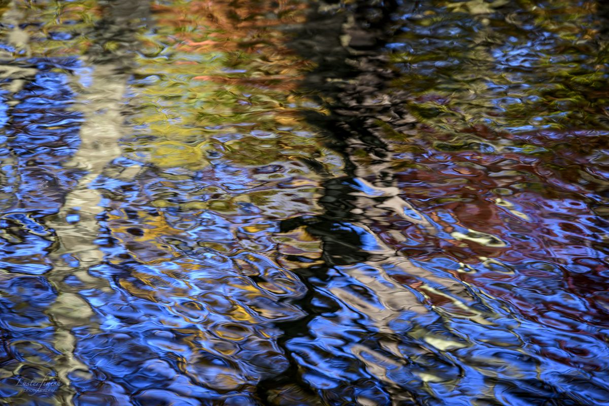 a shadow reflection | GANREF