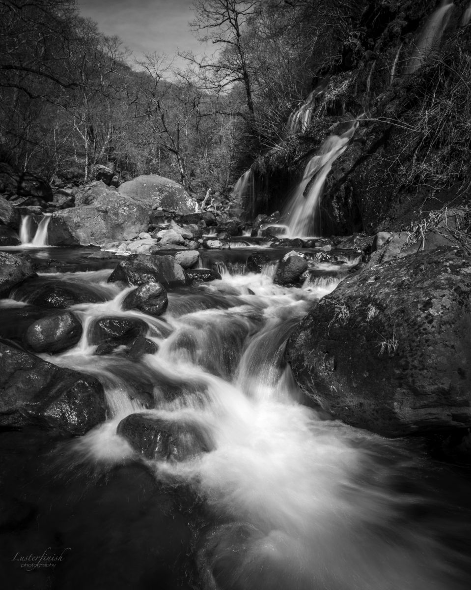 黒と白の流れ | GANREF