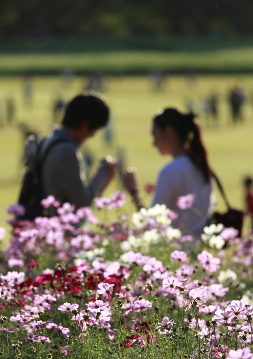 指切りげんまん | GANREF