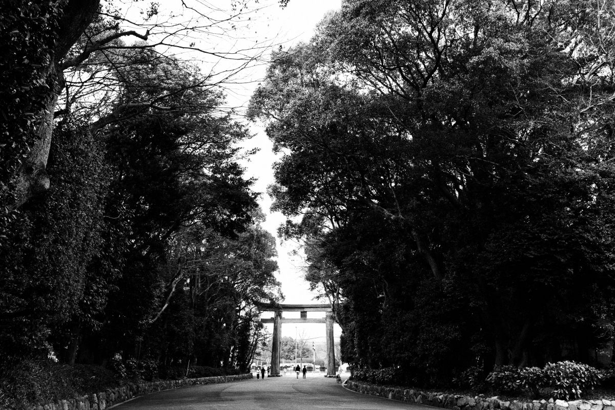 福岡縣護国神社 参道 fomapan 100 classic | GANREF
