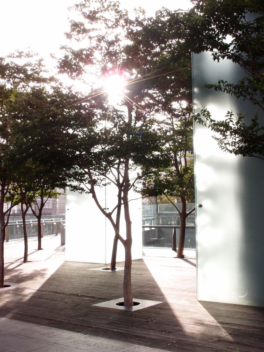 Frozen Light | GANREF