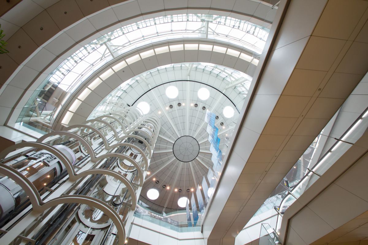 Big eyes Gate | GANREF