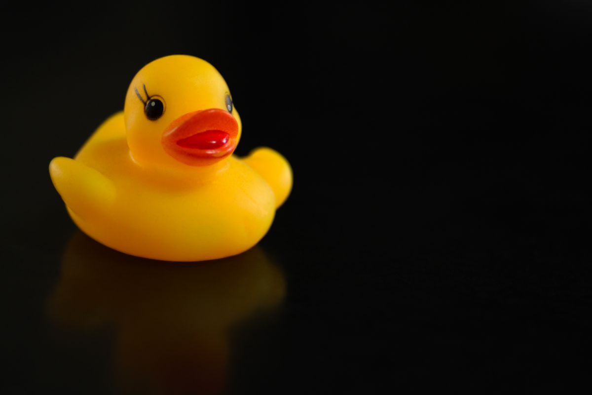 Duck… | GANREF