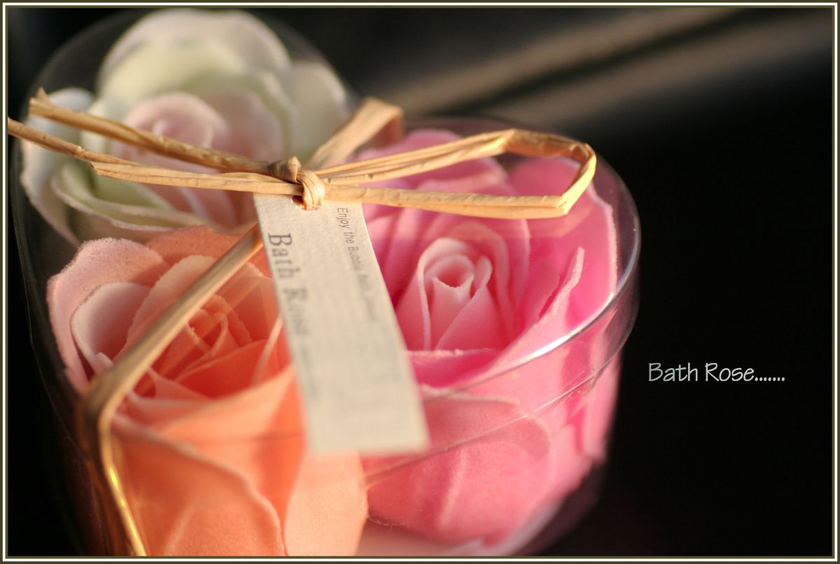 Bath Rose | GANREF