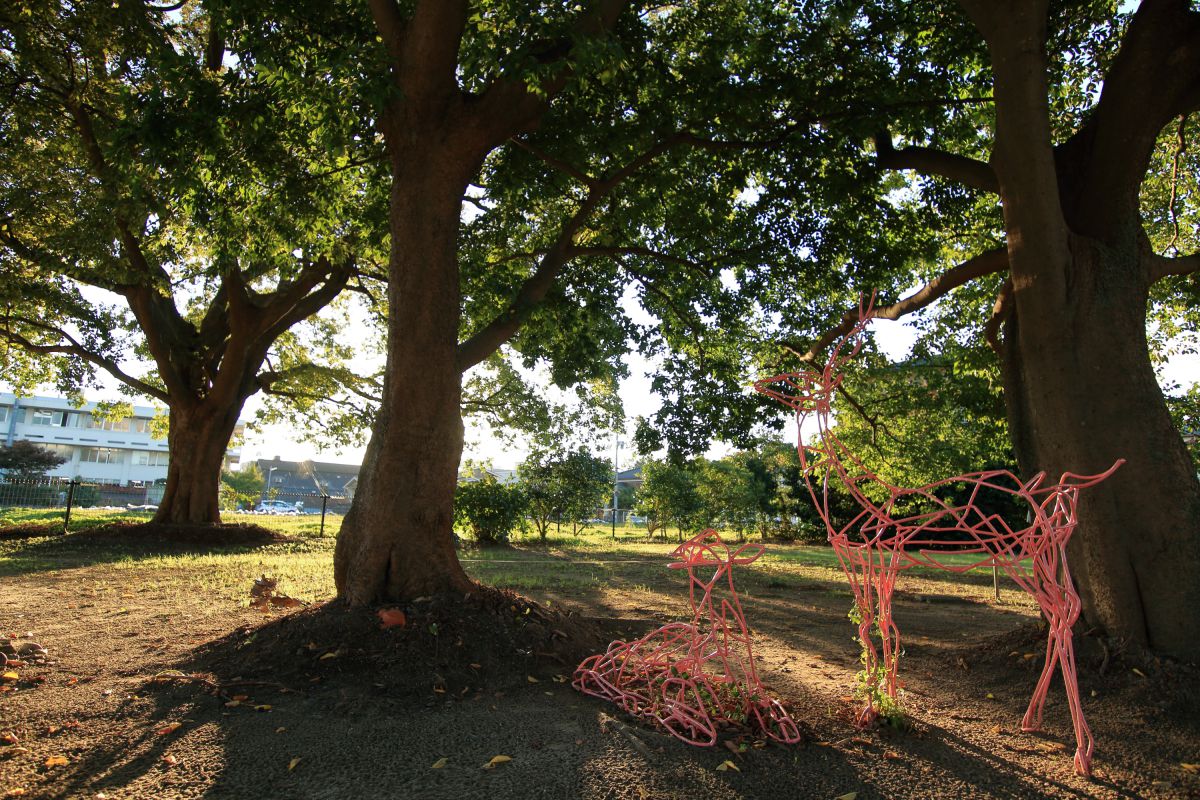 plant objects project2015 | GANREF