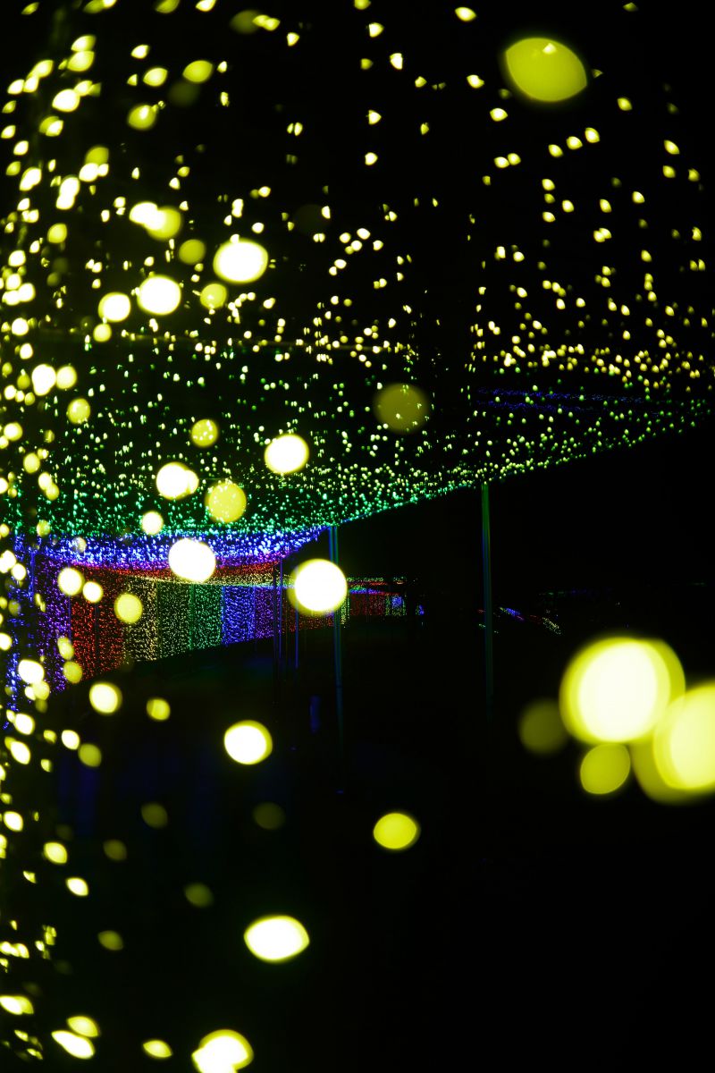 screen road | GANREF