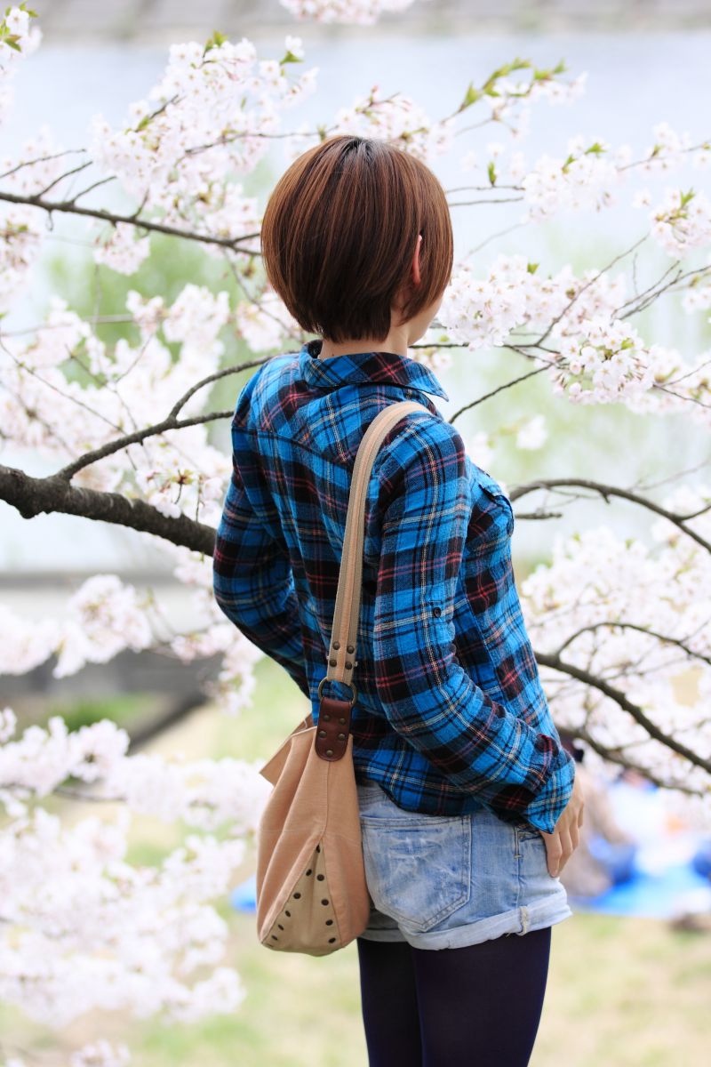 SAKURA MEMORIES | GANREF