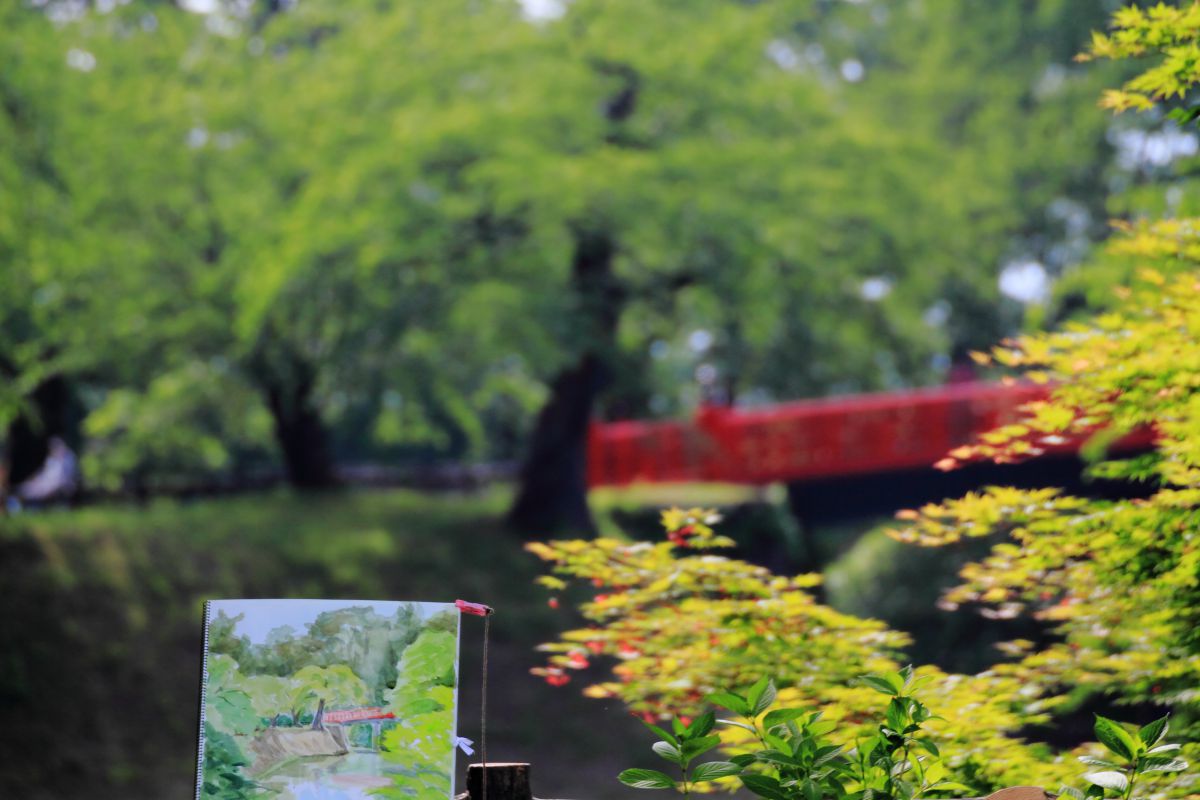 Picture In Picture | GANREF