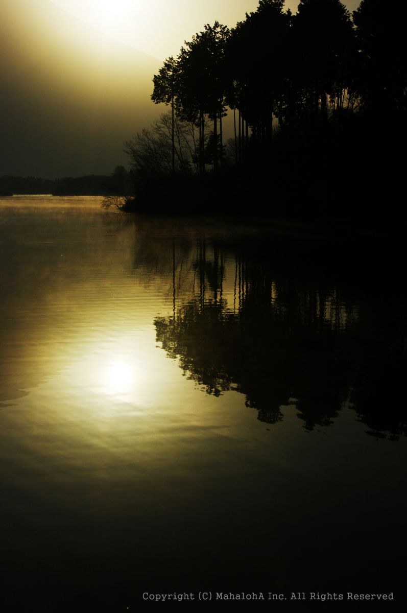 日が昇る | GANREF