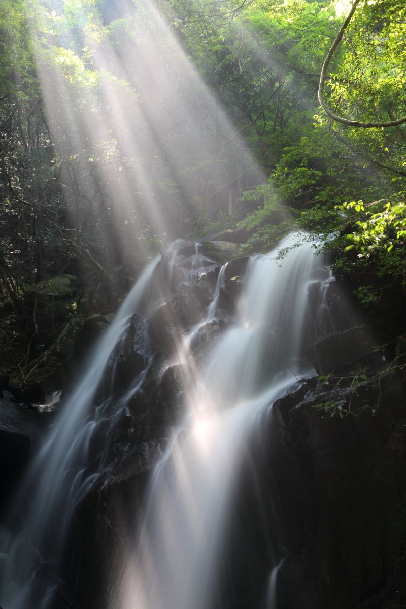 天からの贈りもの | GANREF