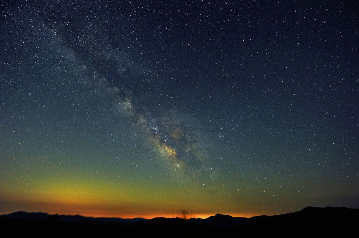 DSC_7470c.jpg | GANREF