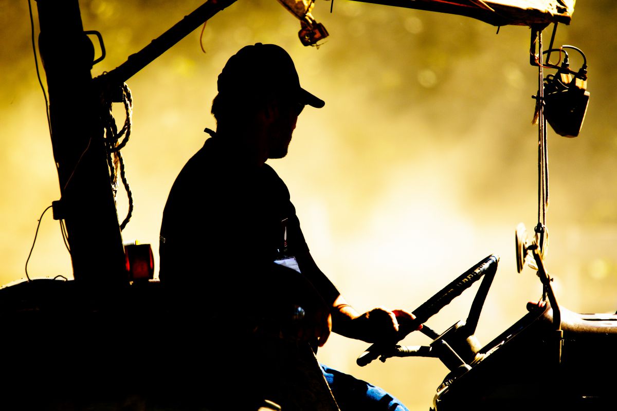 working man | GANREF