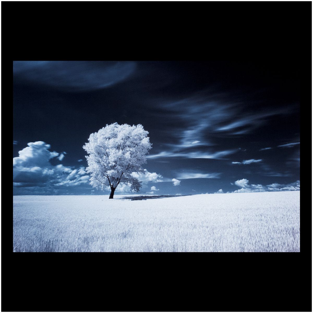 Infrared・北海道13 | GANREF