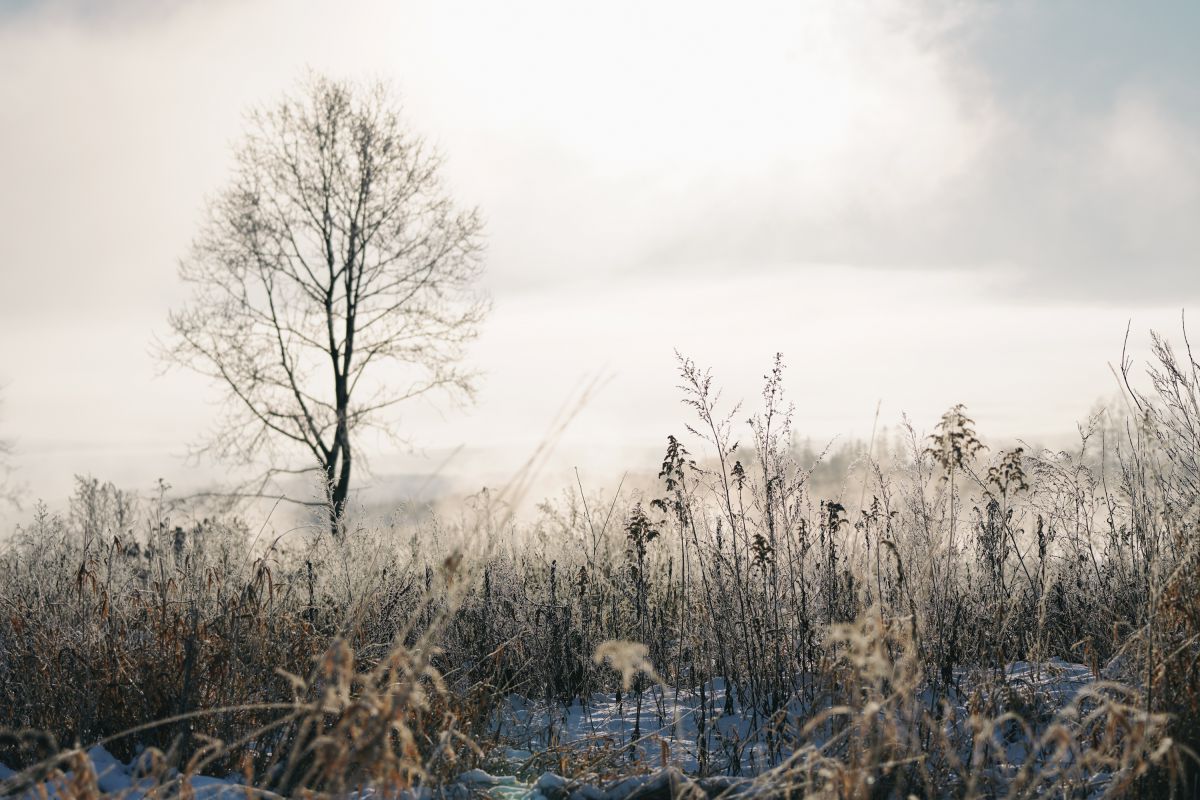 atmosphere in winter | GANREF