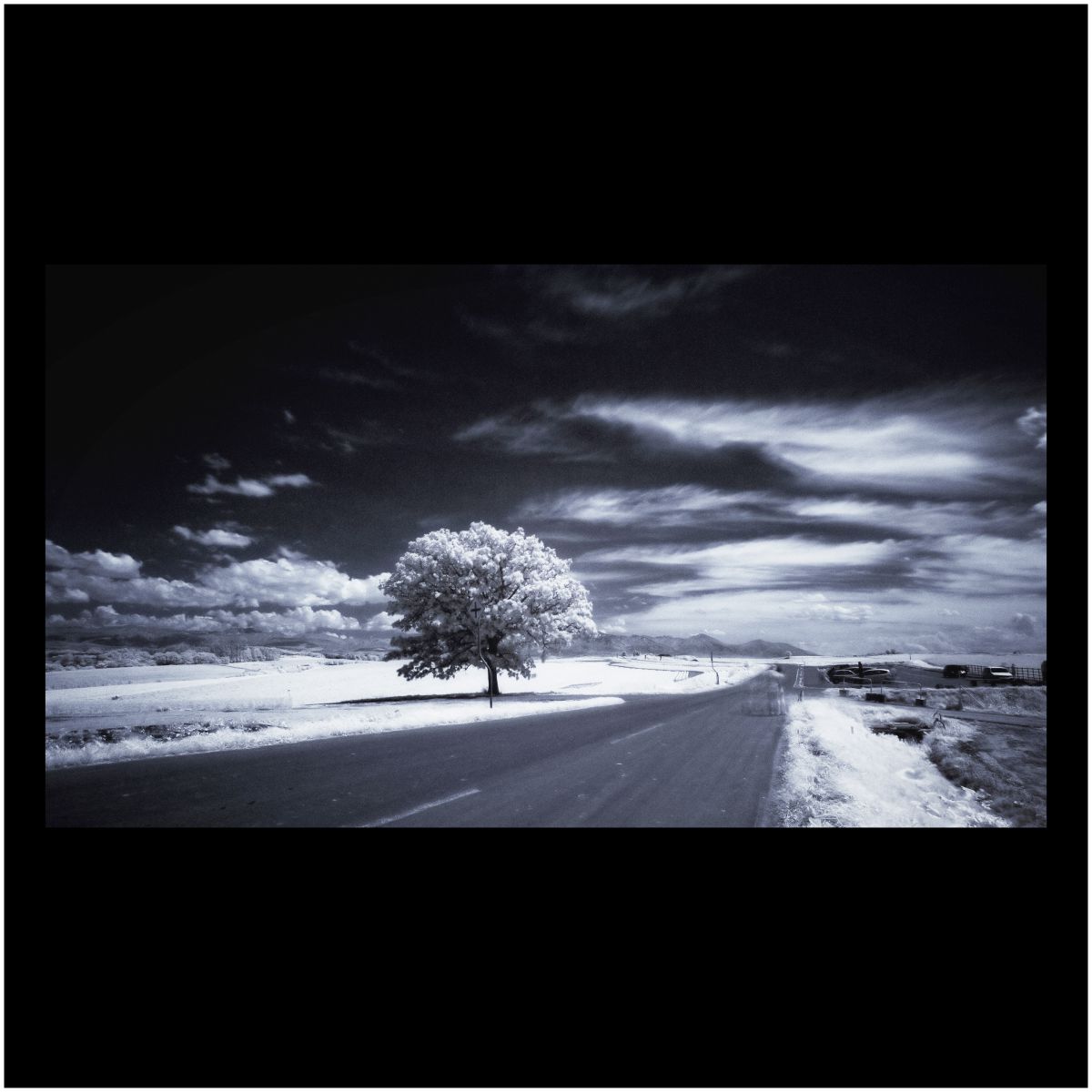 Infrared・北海道14 | GANREF