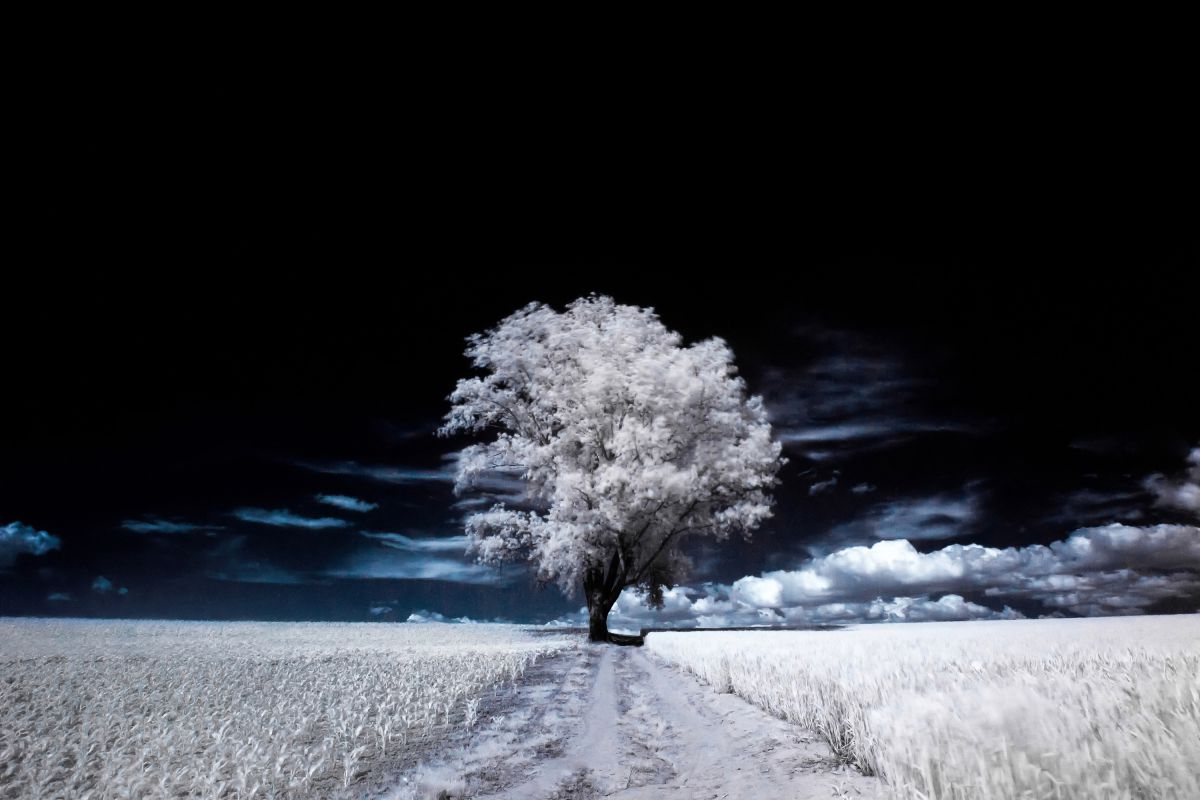 Infrared・北海道7 | GANREF