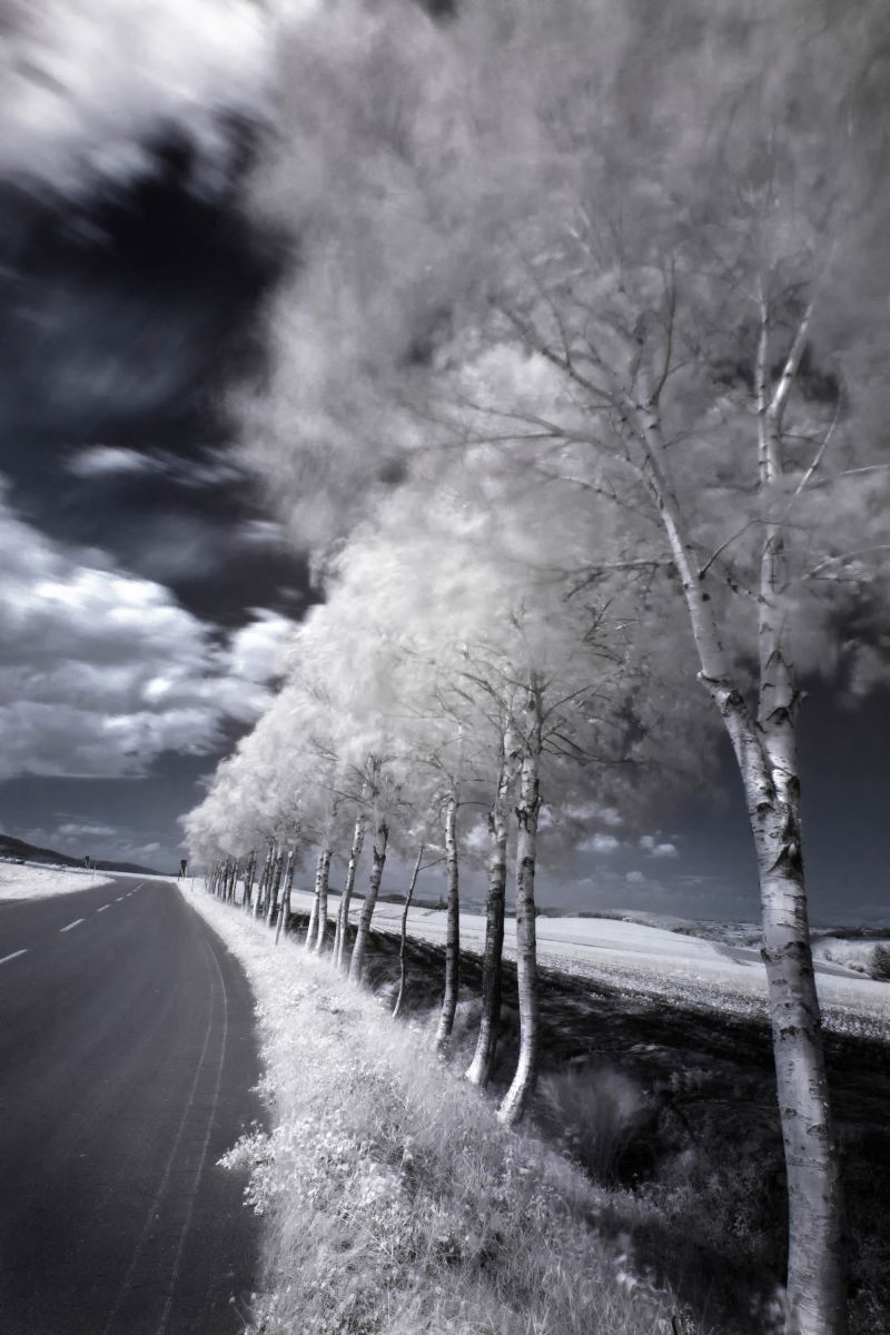 Infrared・北海道6 | GANREF