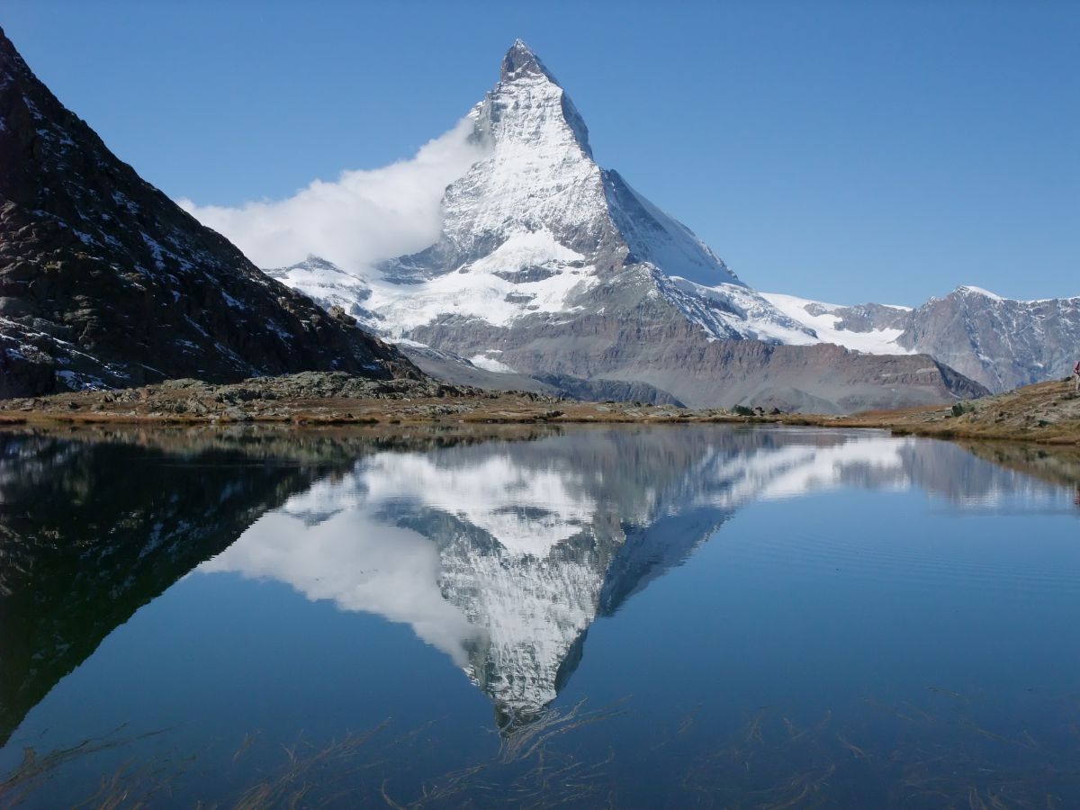 upside down | GANREF