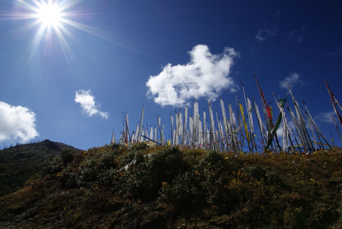 チェレ・ラ | GANREF