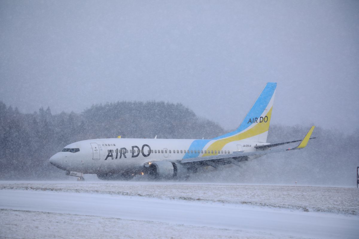 エアドゥ737 | GANREF