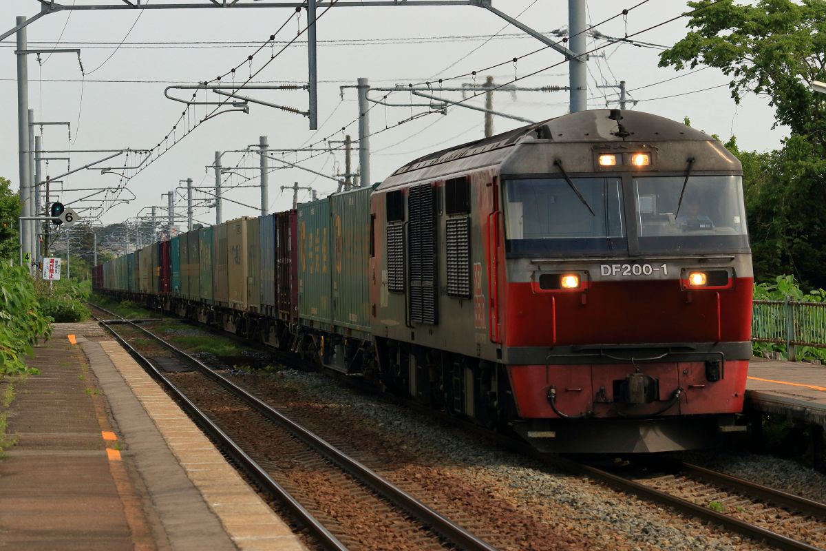 DF200初号機 | GANREF