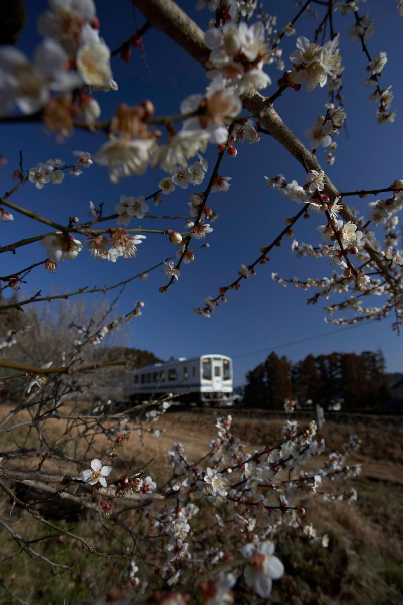 煌びやかな沿線 | GANREF