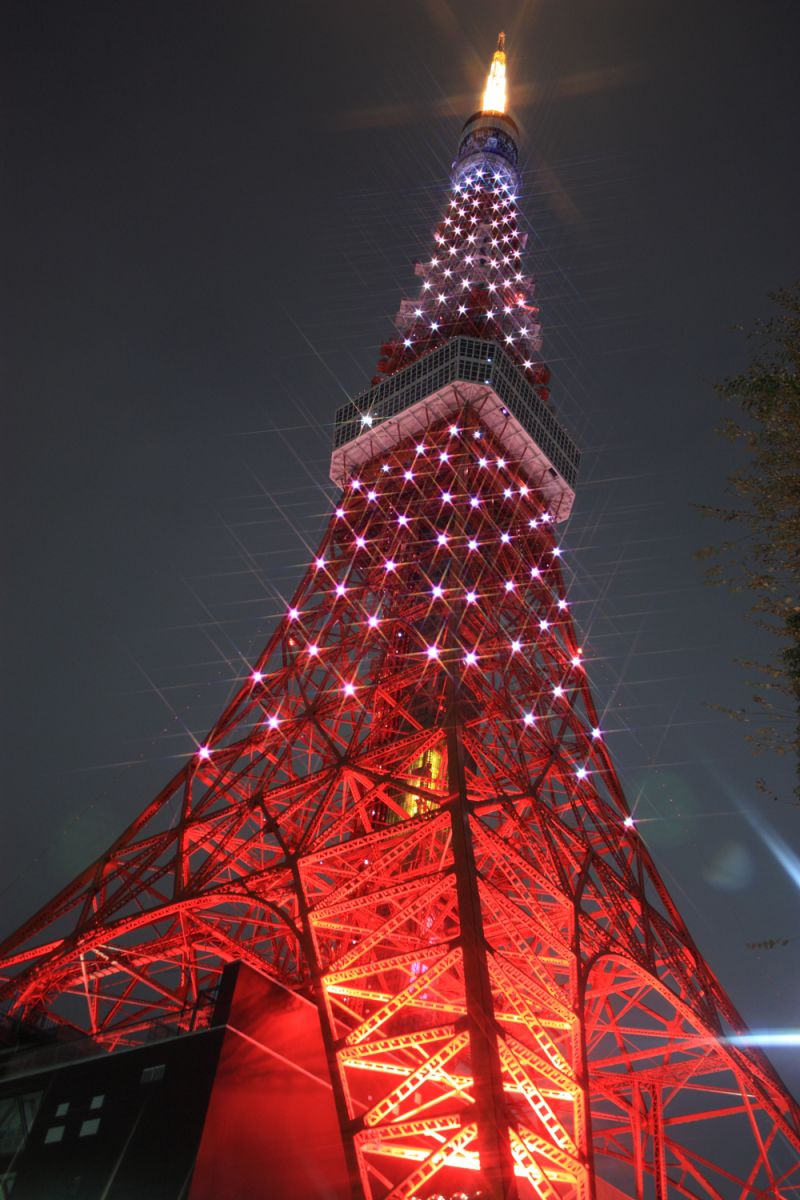 Diamond veil | GANREF