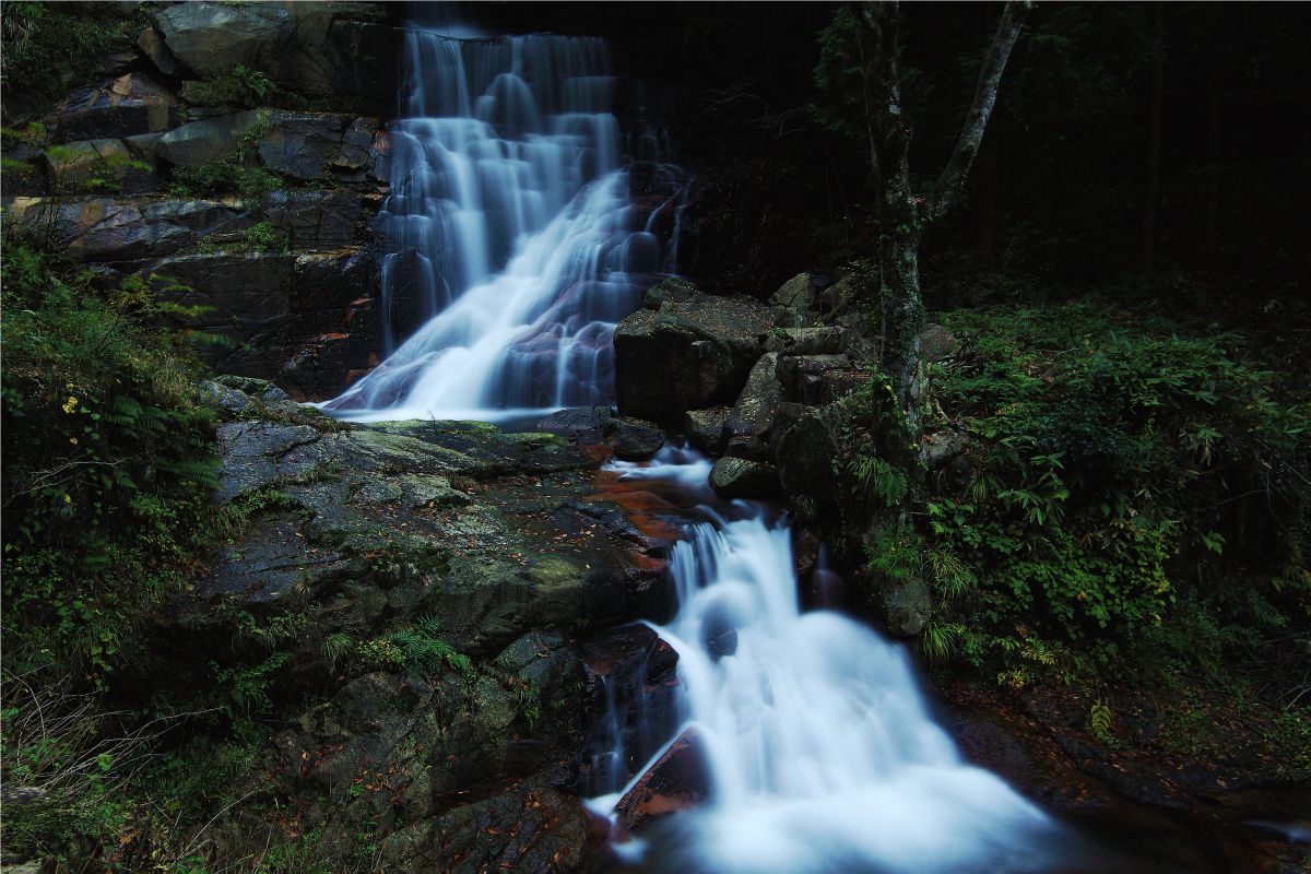 Time of fresh green | GANREF