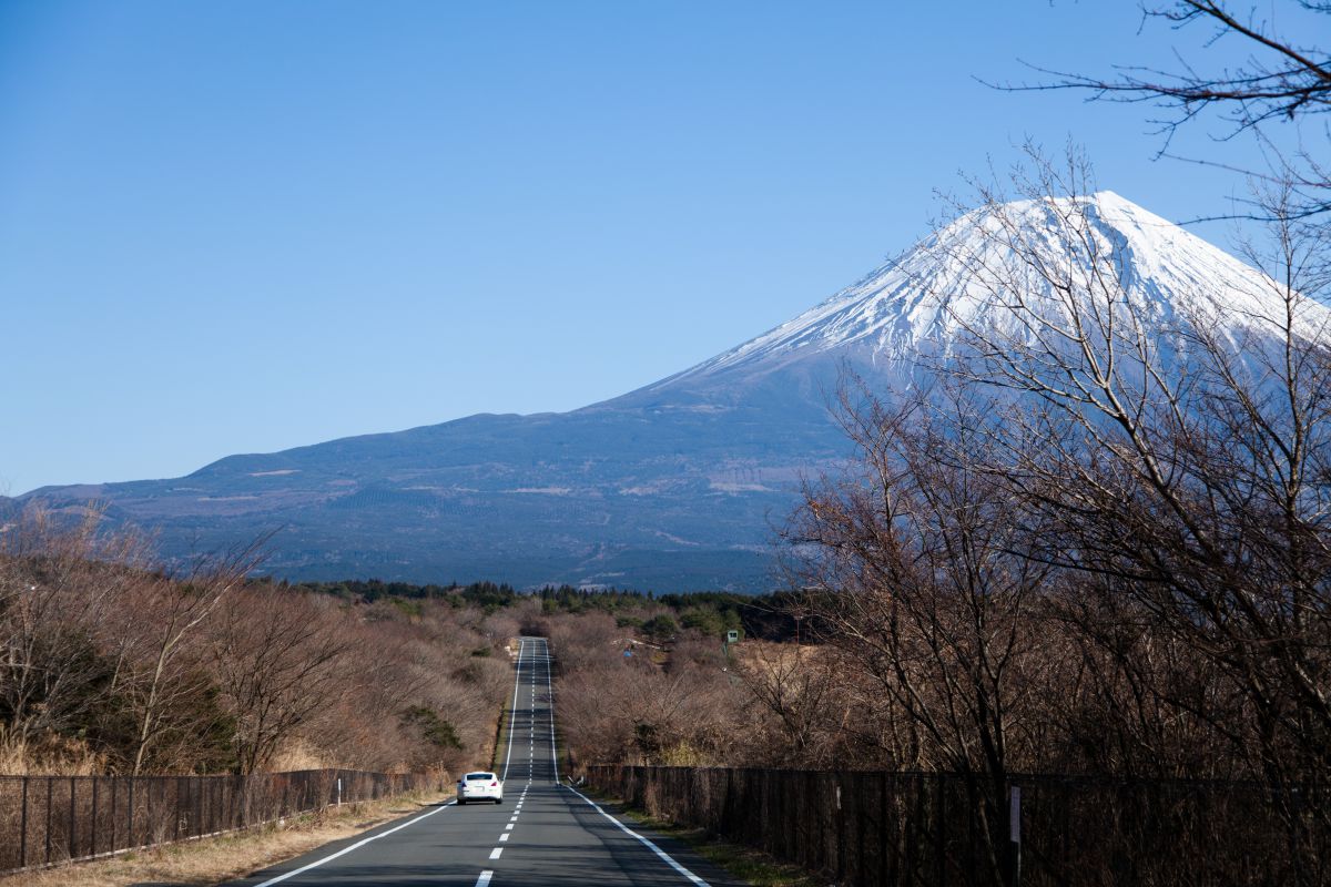 Road to Fuji | GANREF