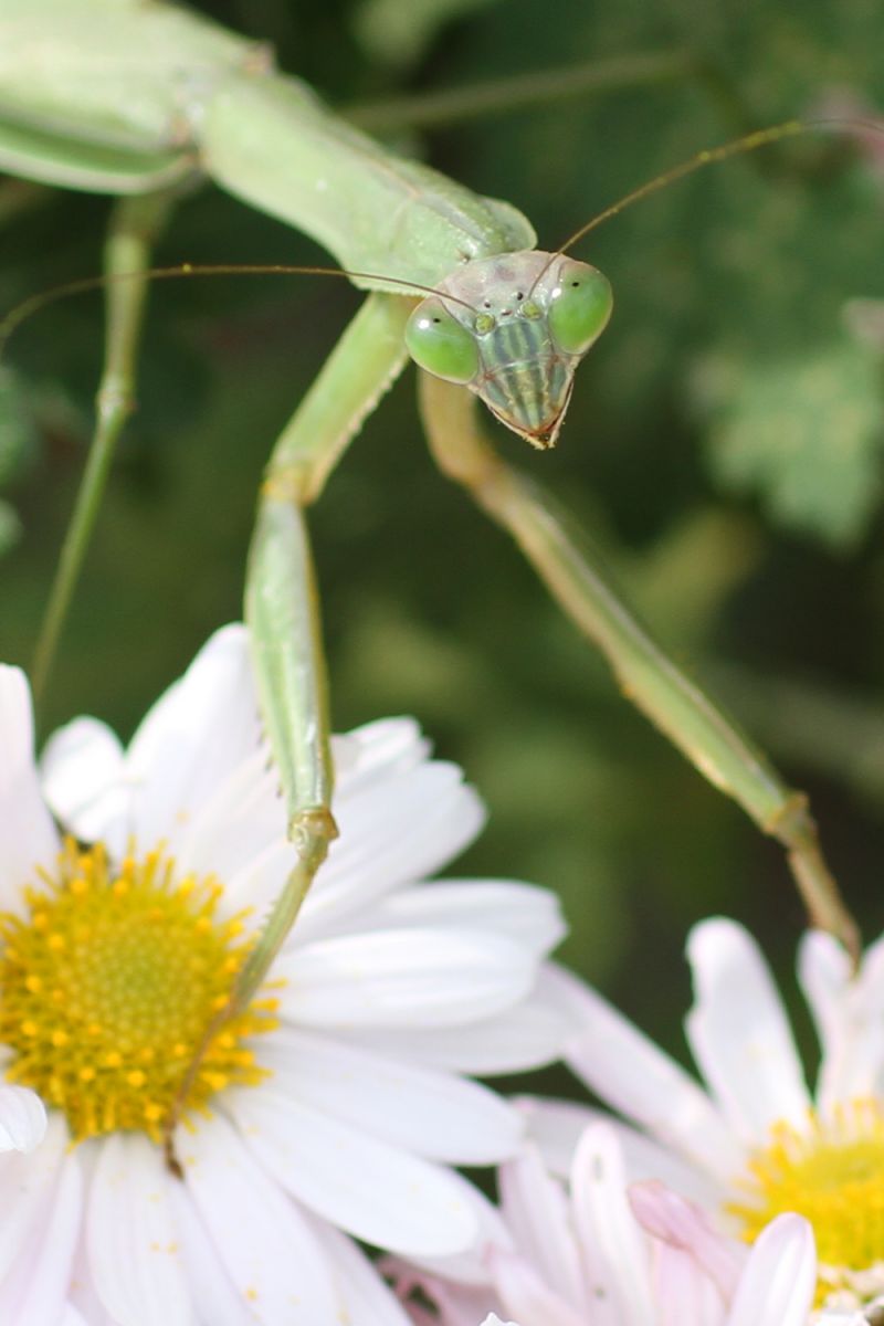 7D、トリミングok！？ | GANREF