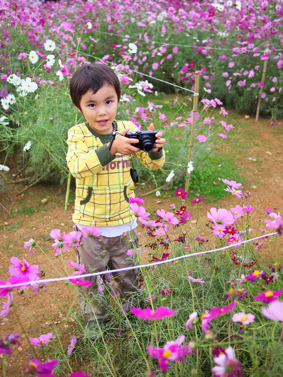 ちびっこカメラマン | GANREF