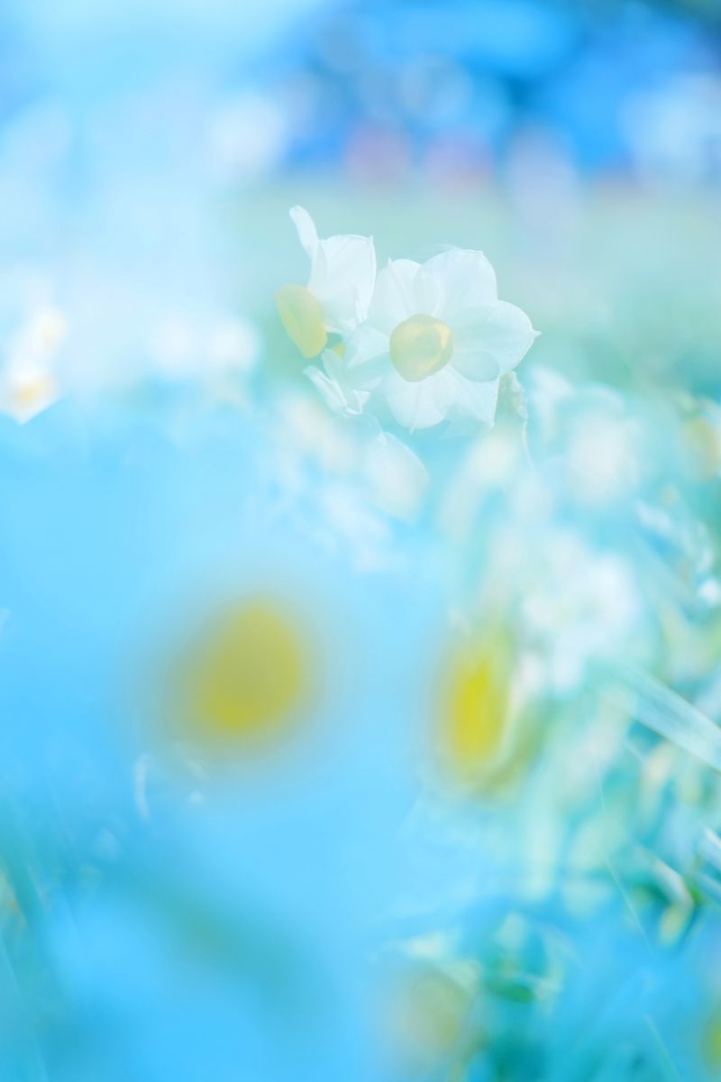 Blue Fantasy | GANREF