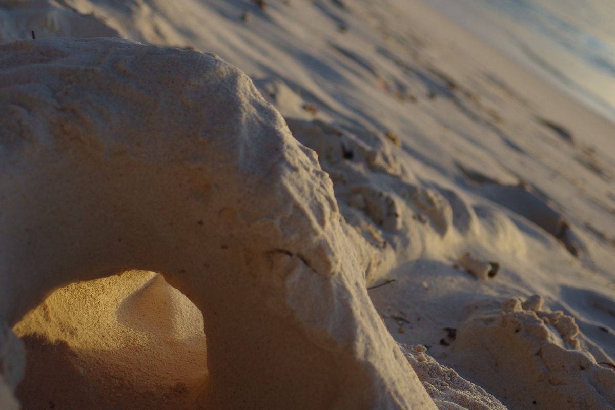 Under The Bridge | GANREF